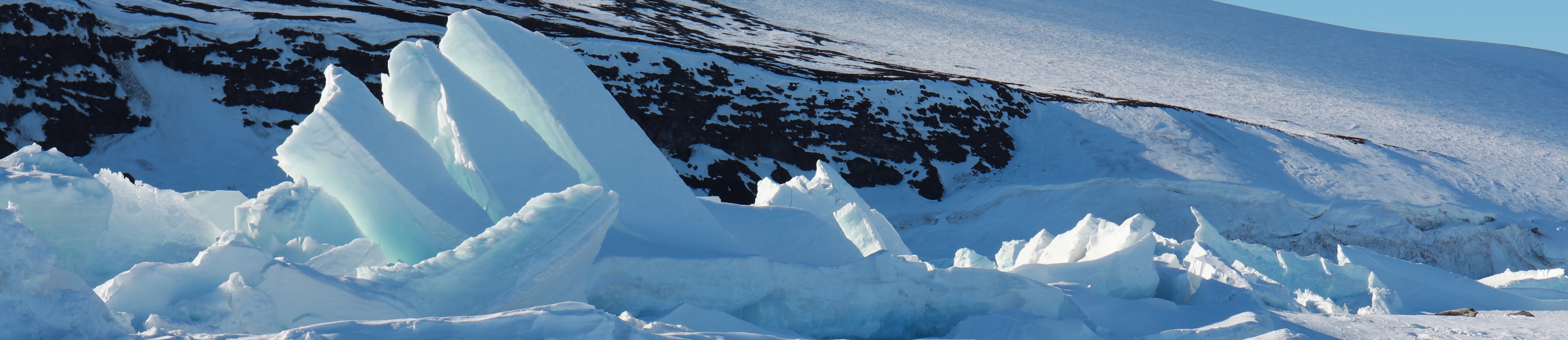 Research - Gemma O’Connor